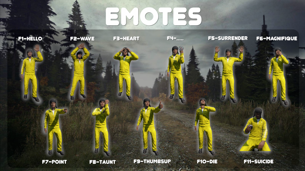 Getting Started on DayZ - TRP